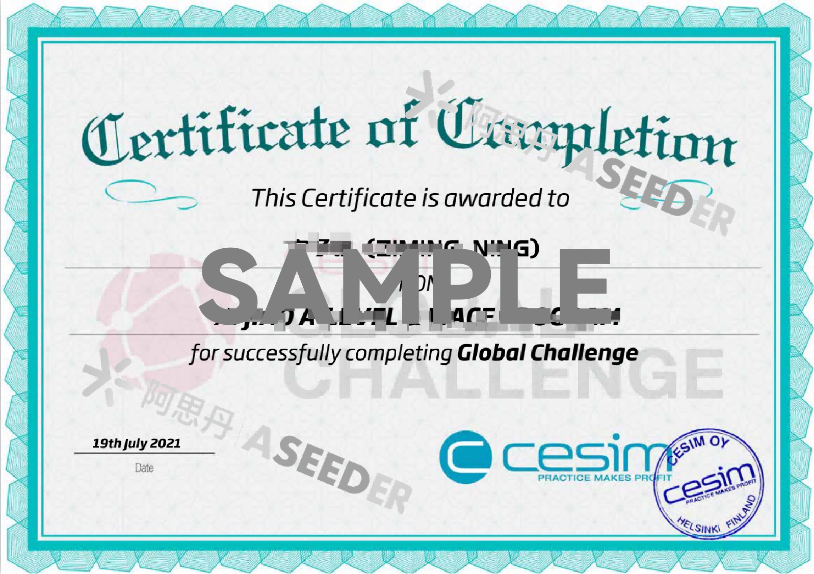 【上海】CESIM跨国企业管理与战略模拟实训 - 阿思丹全球专业实践计划